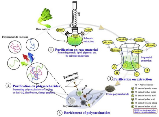 The Current State and Future Prospects of Auricularia auricula’s ...