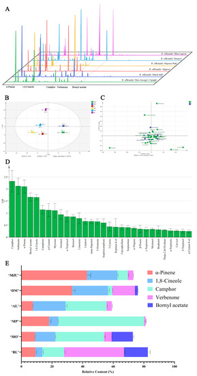 Molecules | Free Full-Text | Screening of Rosemary Essential Oils with ...