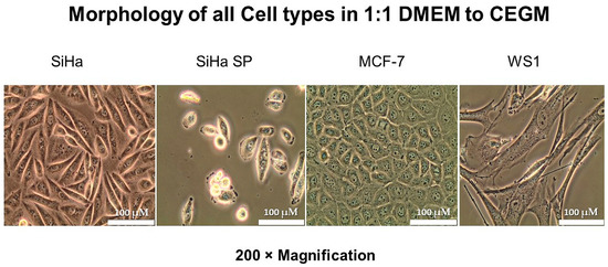 Enhanced Intracellular Photosensitizer Uptake and Retention by ...