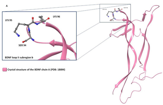 C3-Symmetric Ligands in Drug Design: When the Target Controls the ...