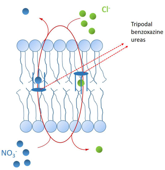 C3-Symmetric Ligands in Drug Design: When the Target Controls the ...