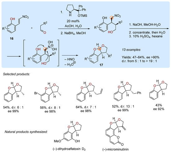 Interrupted Nef and Meyer Reactions: A Growing Point for Diversity ...
