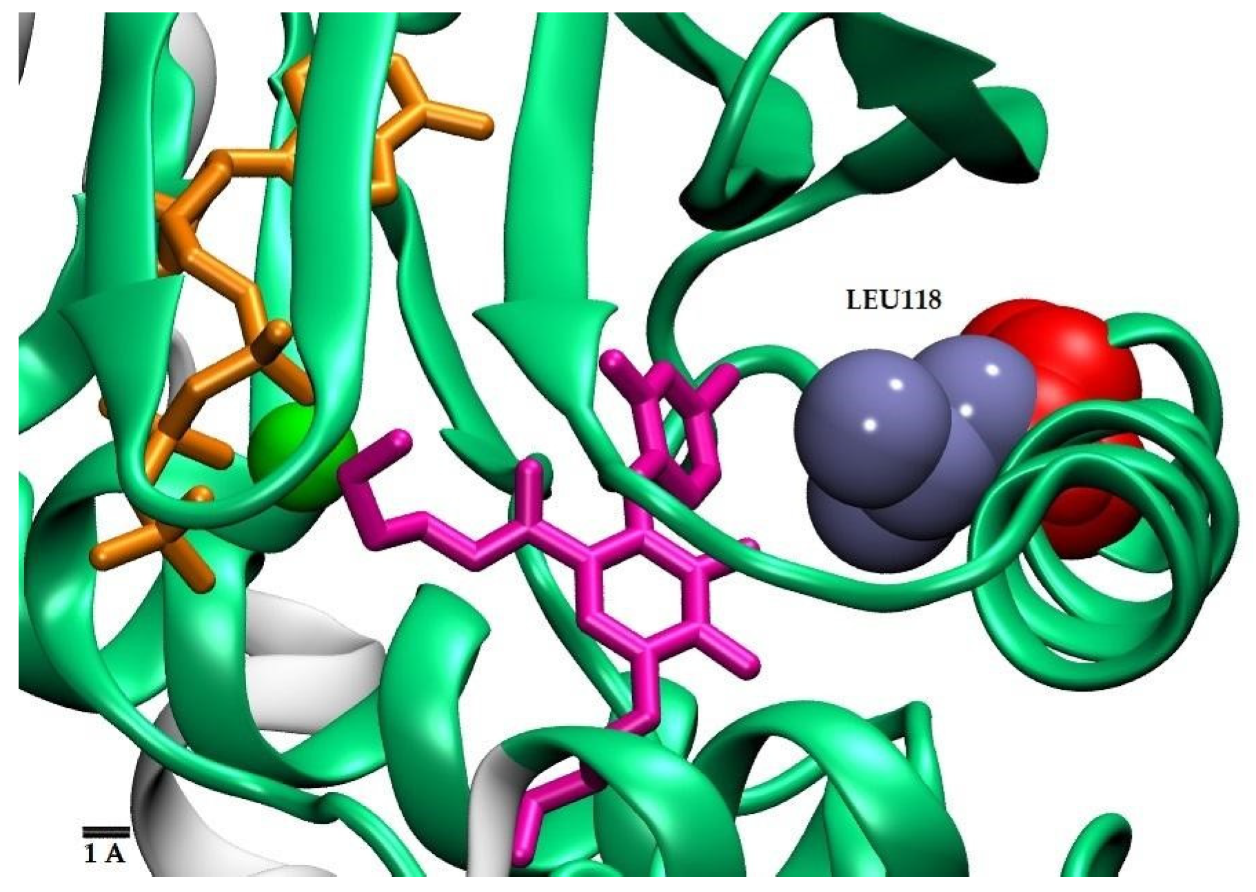 Identifying Potential Molecular Targets in Fungi Based on (Dis ...