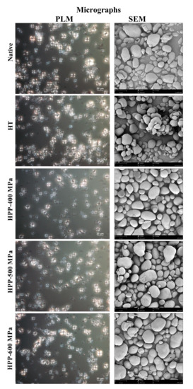 Structural and Physicochemical Properties of Starch from Rejected ...