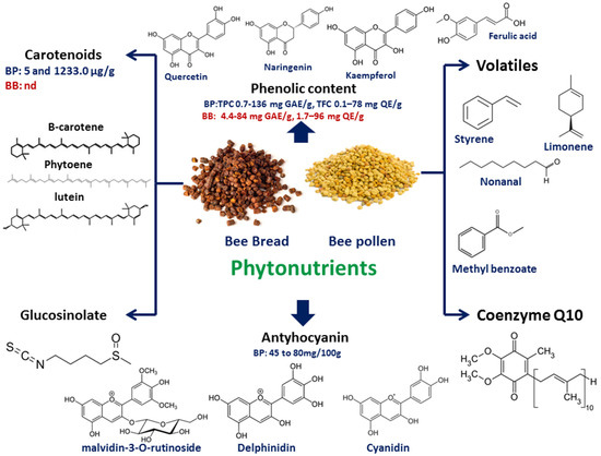 Molecules | Free Full-Text | Bee Pollen and Bread as a Super-Food: A ...