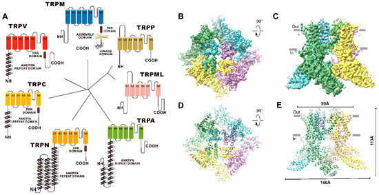 Molecules | Free Full-Text | TRPV3: Structure, Diseases and Modulators