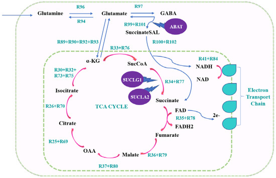 Identification of Therapeutic Targets for Medulloblastoma by Tissue ...