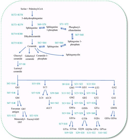 Identification of Therapeutic Targets for Medulloblastoma by Tissue ...