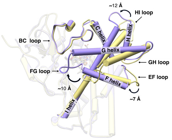 Effect of Salts on the Conformational Dynamics of the Cytochrome P450 OleP