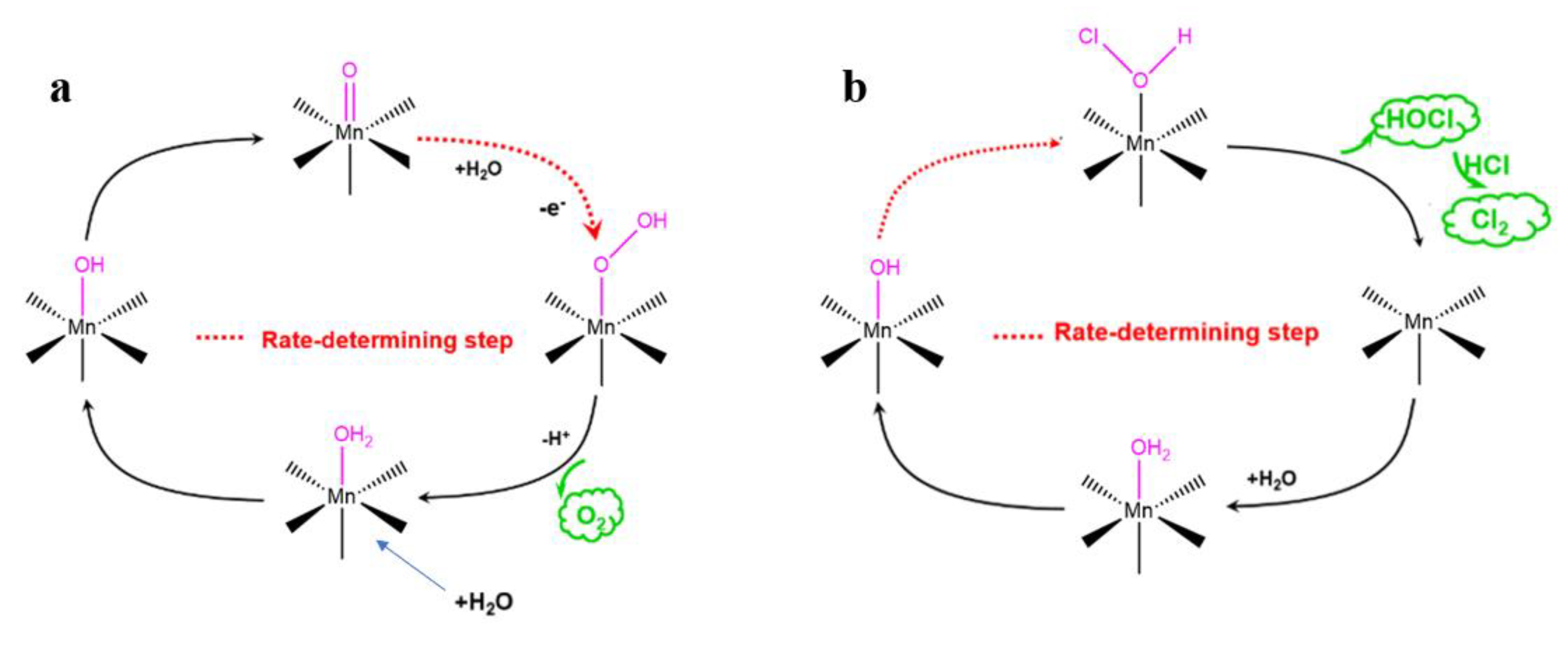 Selectivity of Oxygen Evolution Reaction on Carbon Cloth-Supported δ ...