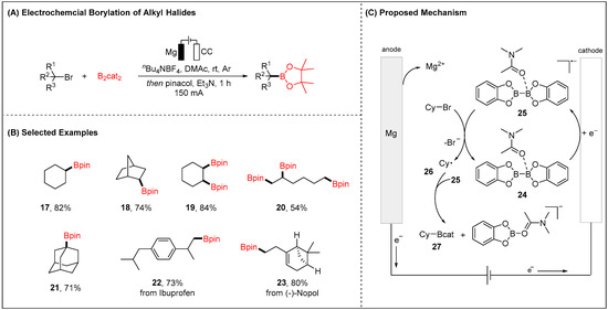 Electroreductively Induced Radicals for Organic Synthesis