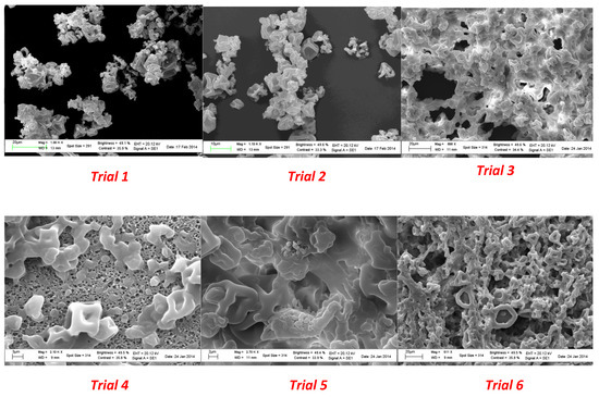 Microencapsulation by a Spray Drying Approach to Produce Innovative ...
