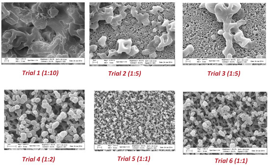 Microencapsulation by a Spray Drying Approach to Produce Innovative ...