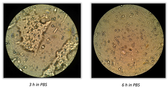 Microencapsulation by a Spray Drying Approach to Produce Innovative ...