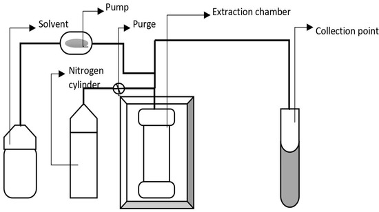Major Phytochemicals: Recent Advances in Health Benefits and Extraction ...