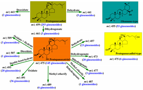 Comprehensive Identification of Ginsenosides in the Roots and Rhizomes ...