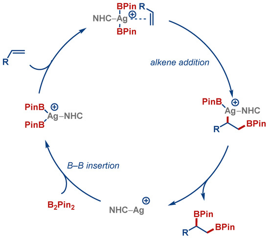 Ag–NHC Complexes in the π-Activation of Alkynes