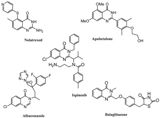 Quinazolinones, the Winning Horse in Drug Discovery