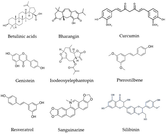 Long Non-Coding RNAs as Novel Targets for Phytochemicals to Cease ...