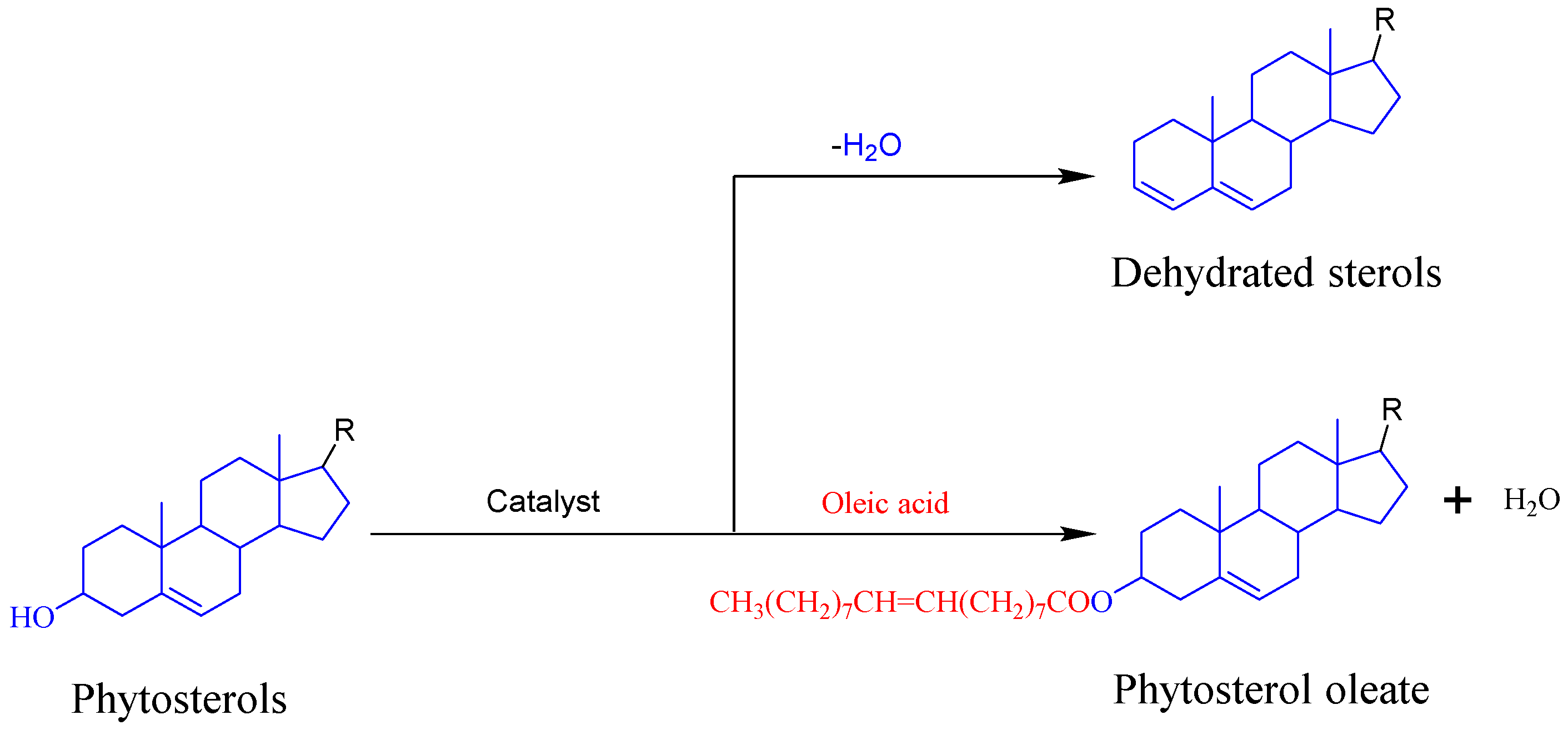 Selective and Efficient Synthesis of Pine Sterol Esters Catalyzed by ...