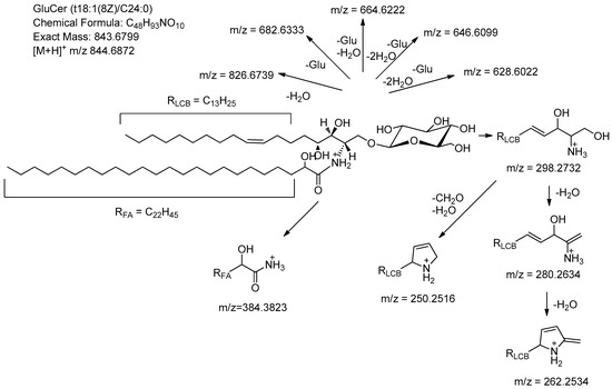 Molecules | Free Full-Text | Speculation of Sphingolipids in Capsanthin ...