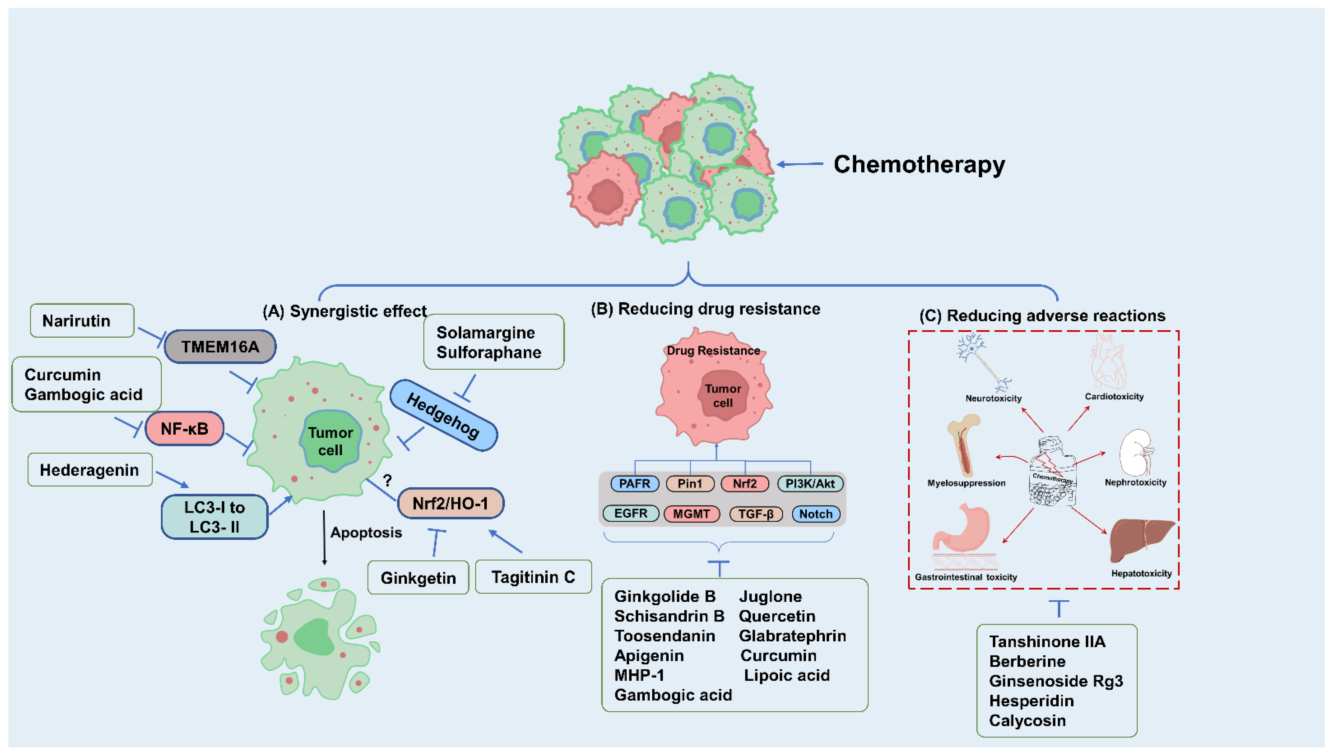 Molecules Free Full Text Exploration Of The Use Of Natural