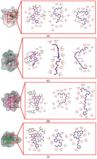 Antioxidant, Wound Healing Potential and In Silico Assessment of ...