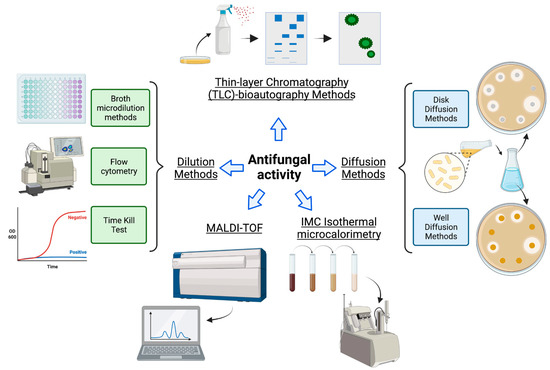 Current Landscape of Methods to Evaluate Antimicrobial Activity of Natural Extracts