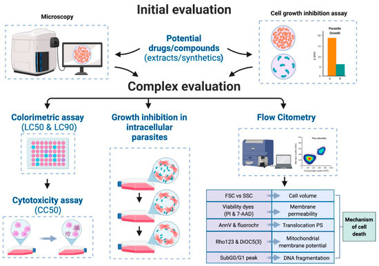 Current Landscape of Methods to Evaluate Antimicrobial Activity of ...