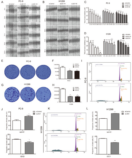 Molecules | Free Full-Text | The Tumorigenic Effect of the High ...