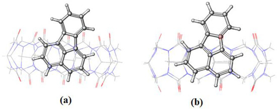 Investigation of the Interaction of Benzo(a)Pyrene and Fluoranthene ...