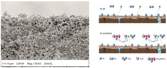 Metal Oxide Gas Sensors to Study Acetone Detection Considering Their Potential in the Diagnosis ...