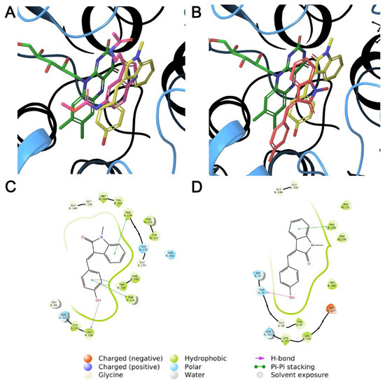 3-Arylidene-2-oxindoles as Potent NRH:Quinone Oxidoreductase 2 Inhibitors