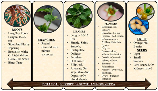 Biodiversity, Biochemical Profiling, and Pharmaco-Commercial ...