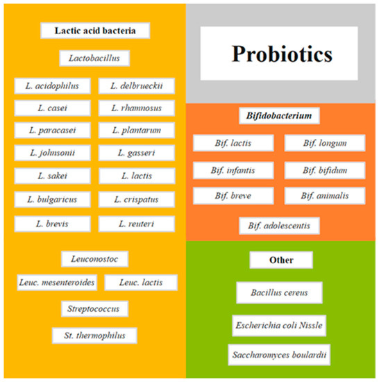 Molecules | Free Full-Text | Health Benefits of Consuming Foods with Bacterial Probiotics ...