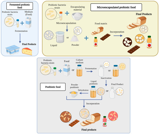 Health Benefits of Consuming Foods with Bacterial Probiotics ...