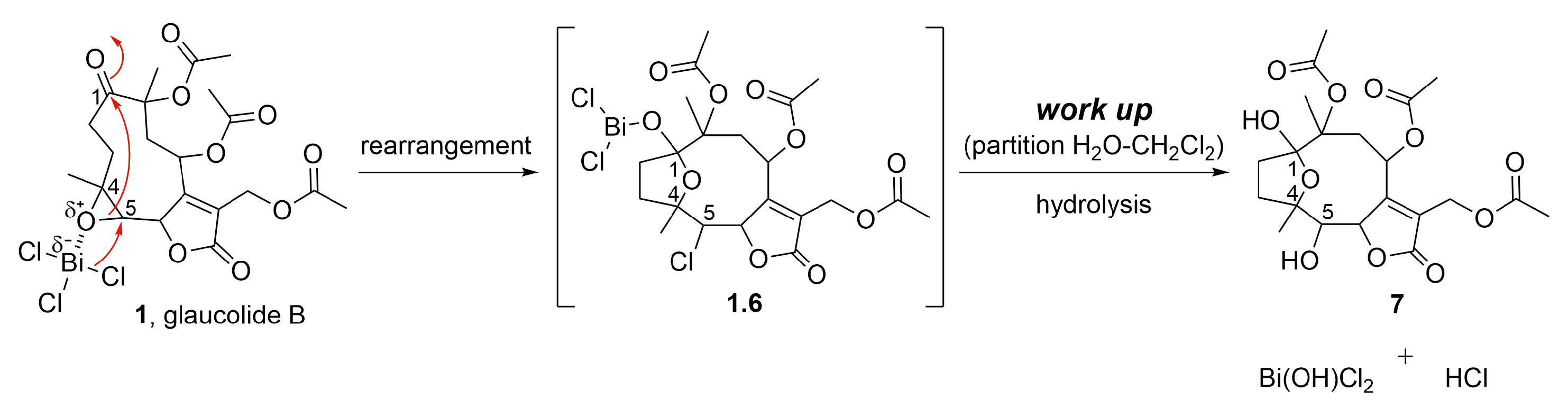 Semisynthetic Sesquiterpene Lactones Generated by the Sensibility of ...