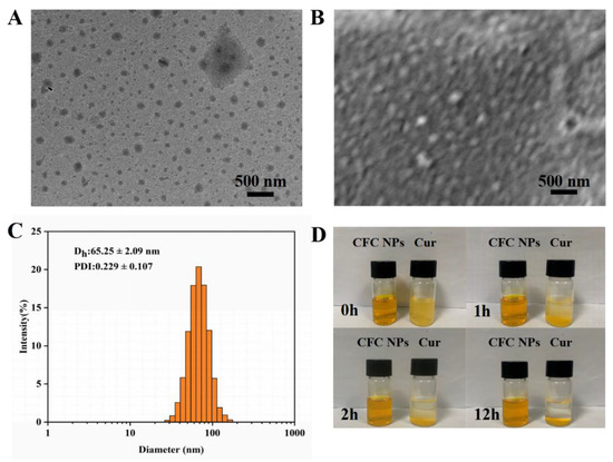 Fabrication, Evaluation, and Antioxidant Properties of Carrier-Free ...