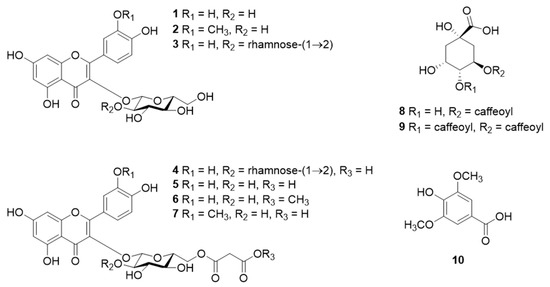 Catechol-O-methyltransferase Inhibitors from Calendula officinalis Leaf