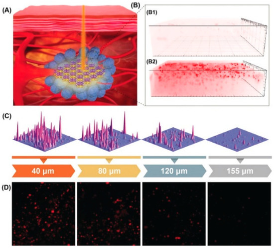 Porous Framework Materials for Bioimaging and Cancer Therapy