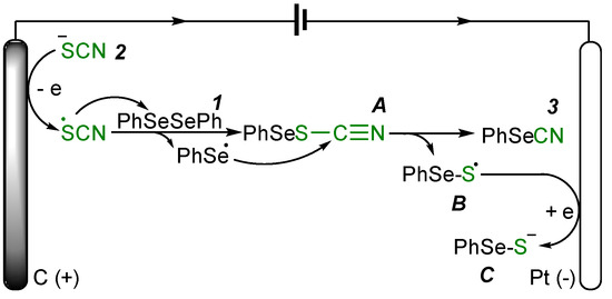 Paired Electrolysis Enabled Cyanation of Diaryl Diselenides with KSCN ...