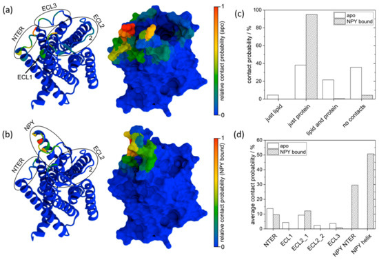 Molecules | Free Full-Text | Towards Probing Conformational States of ...