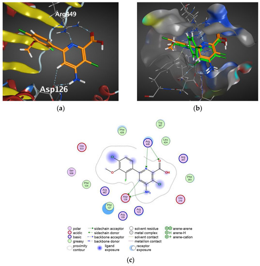 Design, Synthesis, Herbicidal Activity, and Structure–Activity Relationship Study of Novel 6-(5 ...