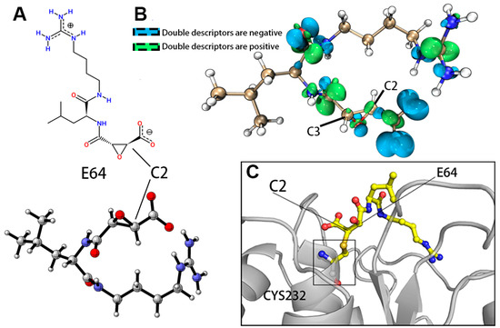 The Structural Basis of African Swine Fever Virus pS273R Protease ...
