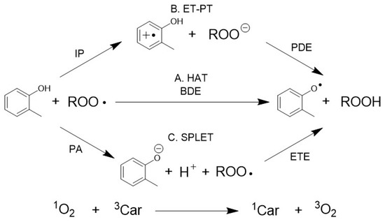 Feature Selection for the Interpretation of Antioxidant Mechanisms in ...