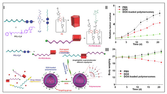 Molecules | Free Full-Text | Pillararene-Based Supramolecular Polymers for Cancer Therapy