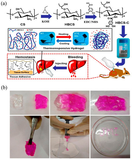Chitosan-Based Hemostatic Hydrogels: The Concept, Mechanism ...