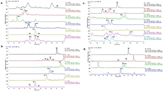Biotransformation of Penindolone, an Influenza A Virus Inhibitor