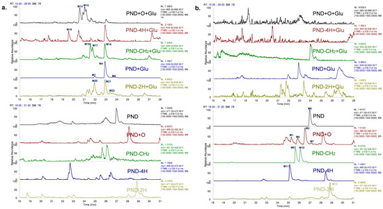 Biotransformation of Penindolone, an Influenza A Virus Inhibitor