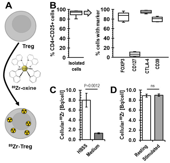 Molecules | Free Full-Text | Radiolabelling of Polyclonally Expanded ...